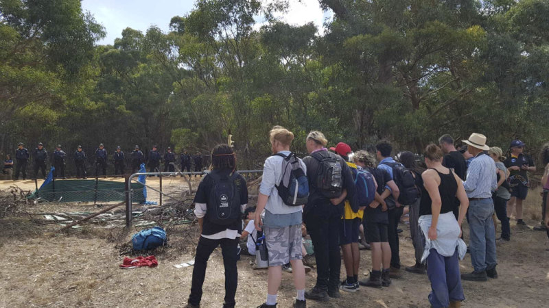 Protesters face off with riot police over removal of 'sacred' trees ...