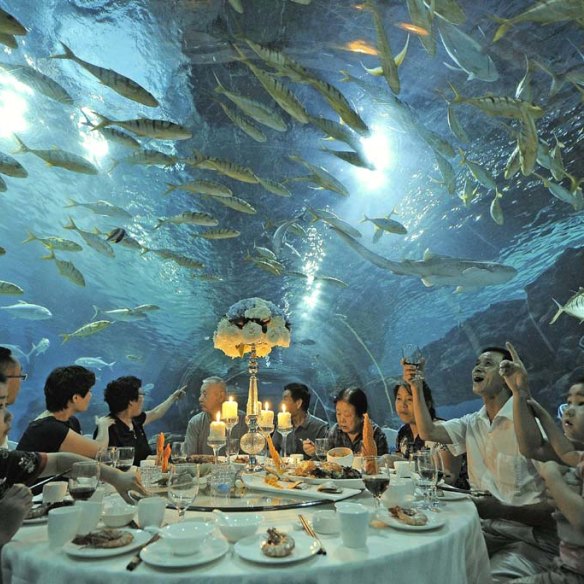 Morrison and Johnson in Israel: irrelevance meets grandstanding