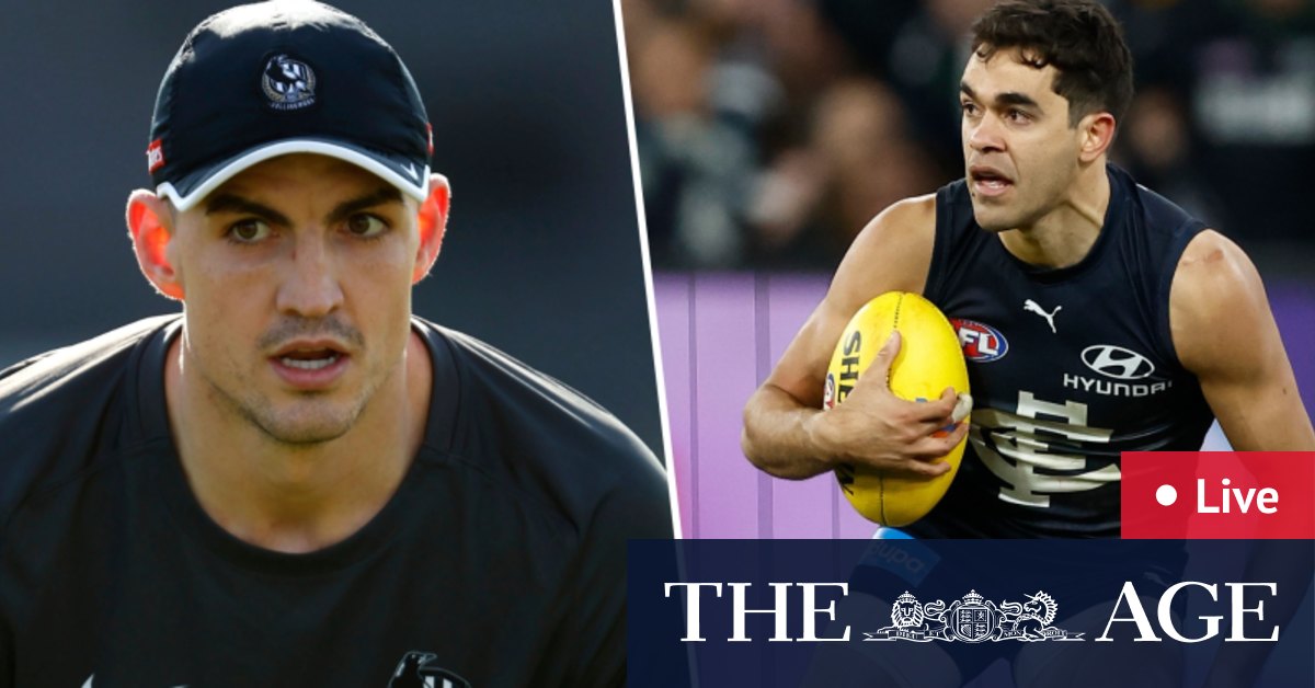 AFL 2023 tribunal LIVE updates: Collingwood Magpies’ Brayden Maynard ...