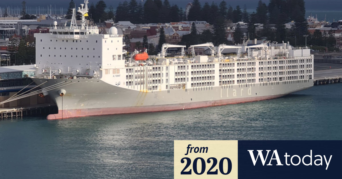 Al Kuwait ship crew cleared of virus in WA