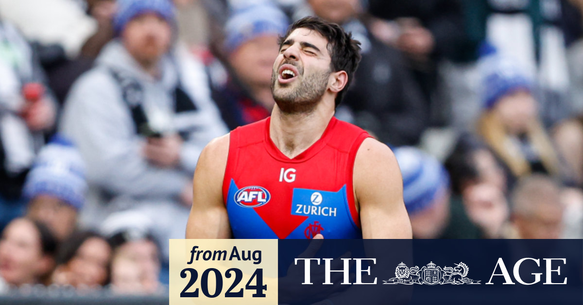 AFL 2024: Melbourne Demons president Kate Roffey admits she has not ...