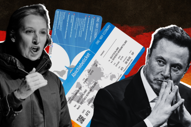 Alternative for Germany: Populists turn heads with fake air tickets for ...