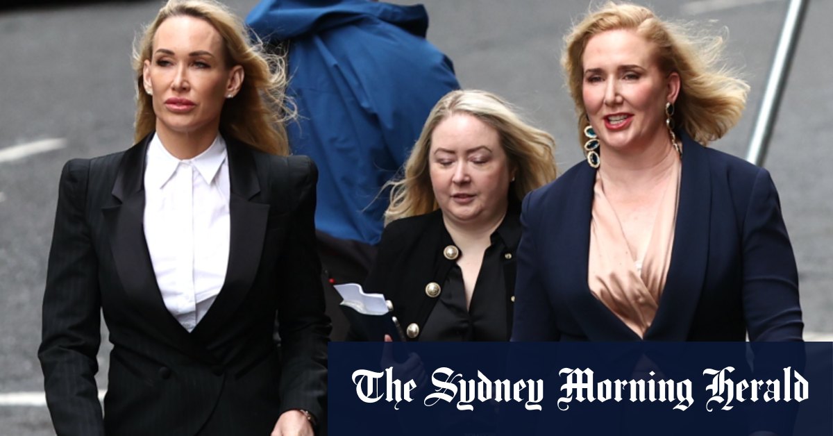 Richard White v Linda Rogan: WiseTech billionaire asked to produce raft ...