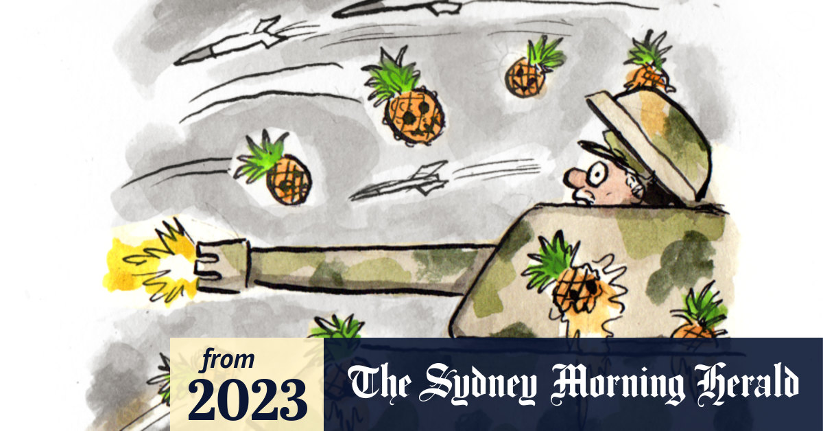 Defence department goes to war with Pineapple Express over meme page