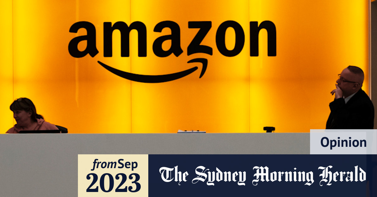 Can Amazon’s anti-competitive practices benefit consumers?