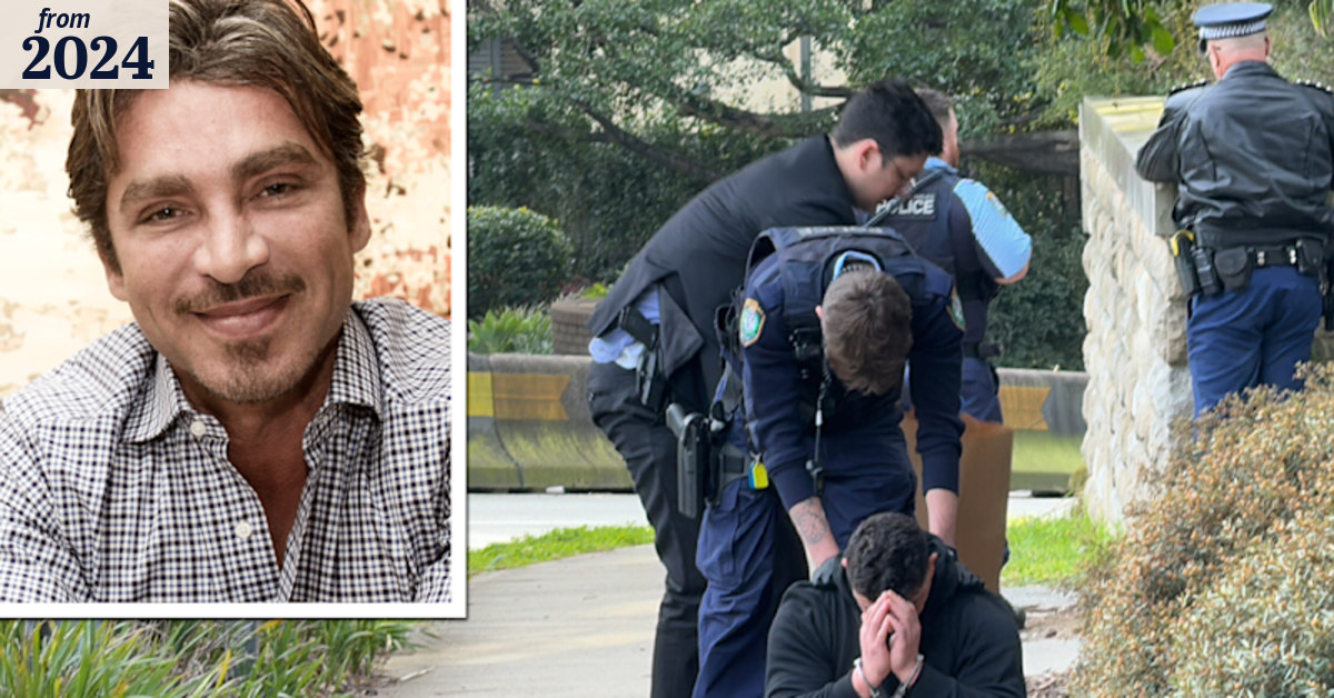John Ibrahim was target of foiled assassination plot