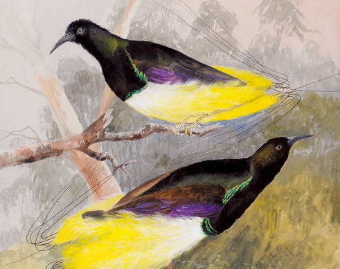 Artist Ellis Rowan an ‘exemplary candidate’ for a statue in Melbourne ...