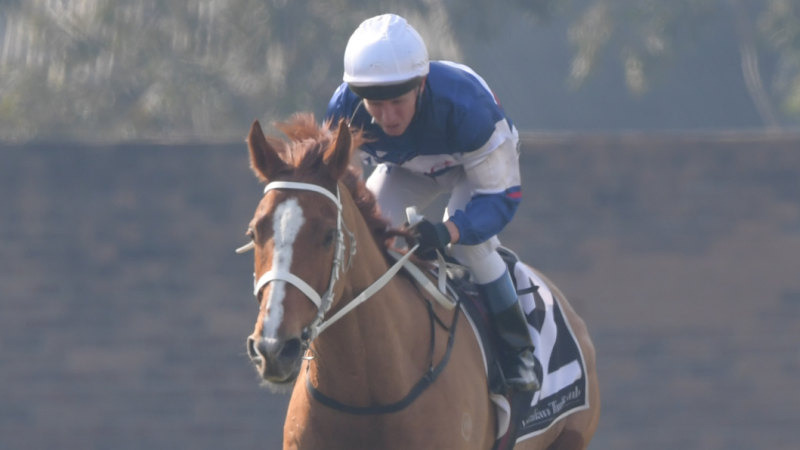 Waller's field of stablemates brings memories of 'Baron Bob' Skelton