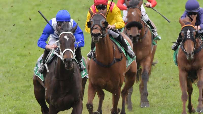 Warwick Farm race tips