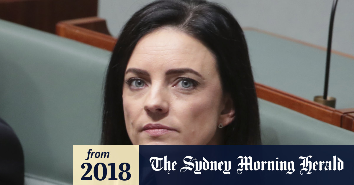 NSW election: Labor rejects Rose Jackson as Luke Foley's Auburn replacement