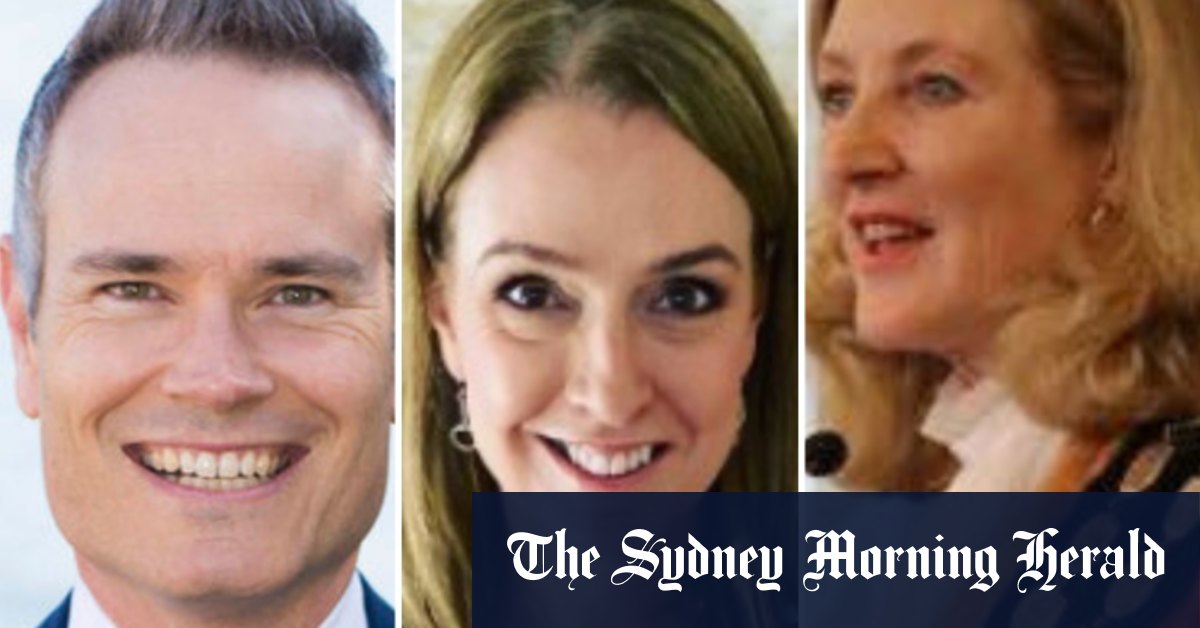 Willoughby byelection: Tim James wins Liberal preselection for Gladys ...