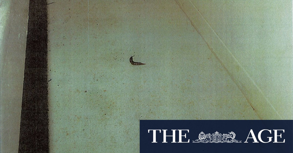 I Cook Foods: Judge throws out caterer’s attempt to air further ...