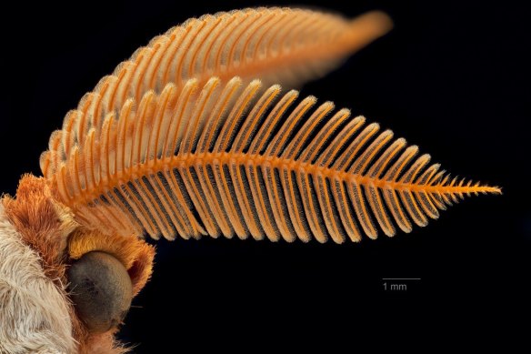 What’s on Brisbane: City’s best things to do this week