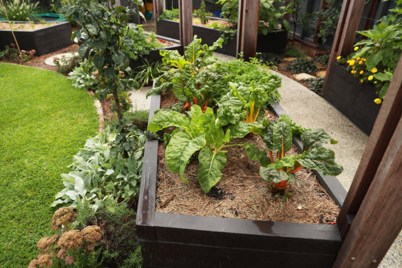 How to design a family garden that will actually get used