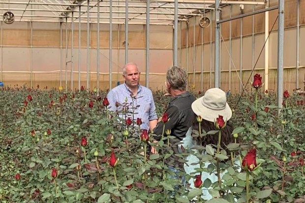 Lynch Group mulls China flowers future; talks to PE