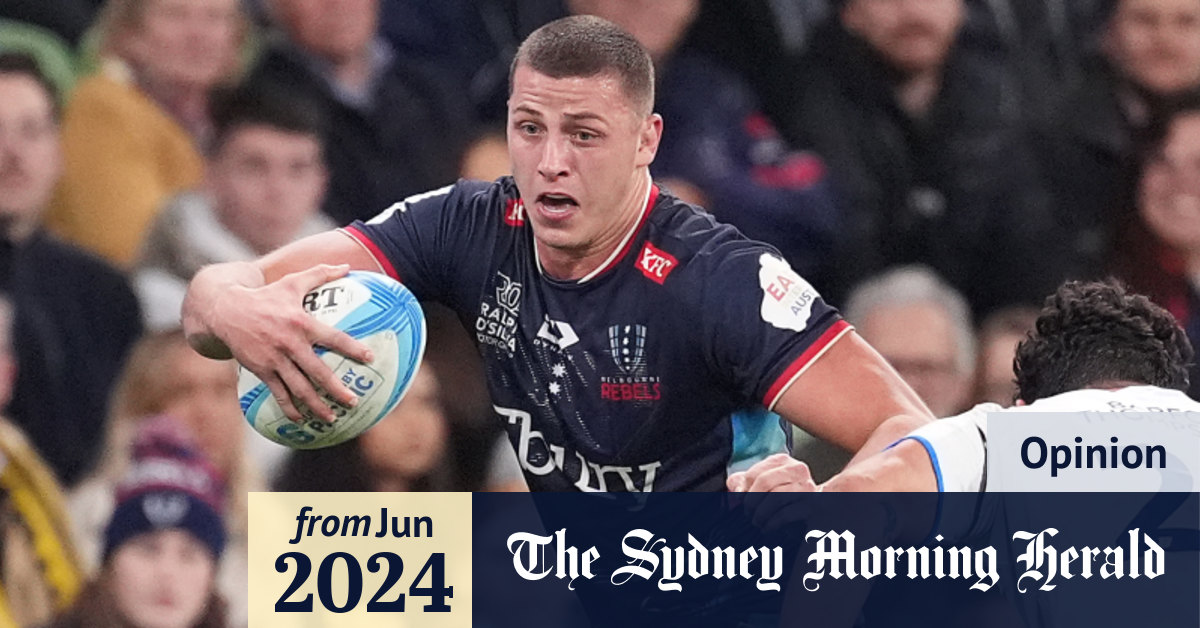 Wallabies 2024 squad: Joe Schmidt snub of Josh Canham for Wales ...