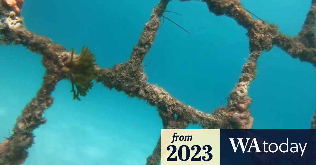 Bicton Baths shark barrier on Perth’s Swan River after Stella Berry’s death
