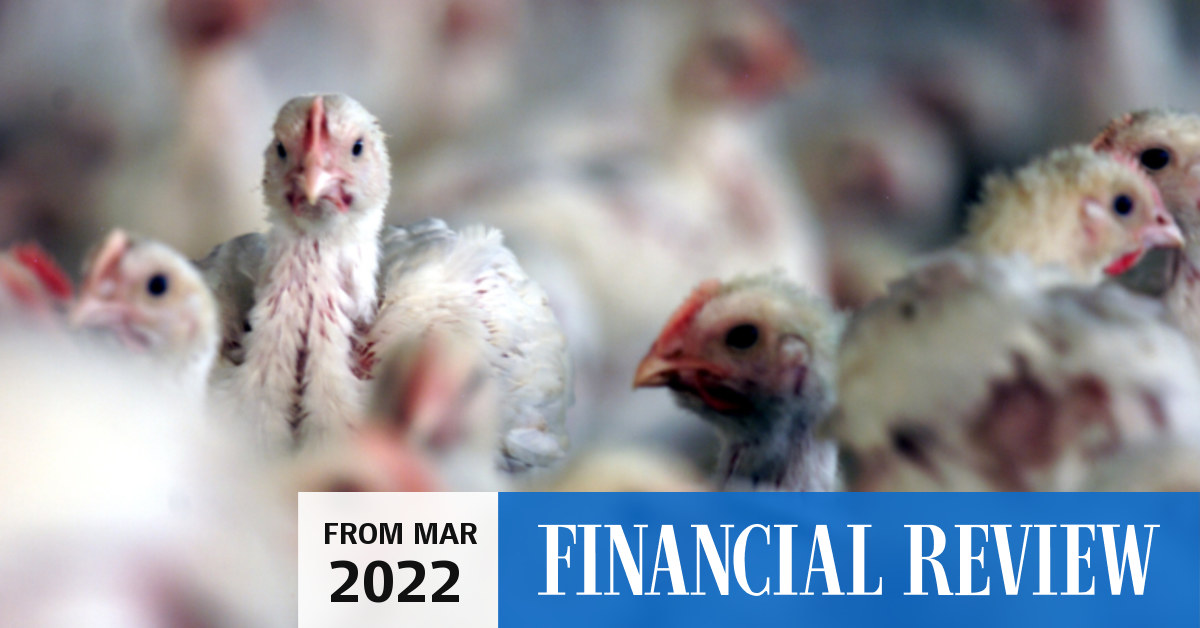 PAG processes deal for chicken group Cordina Farms