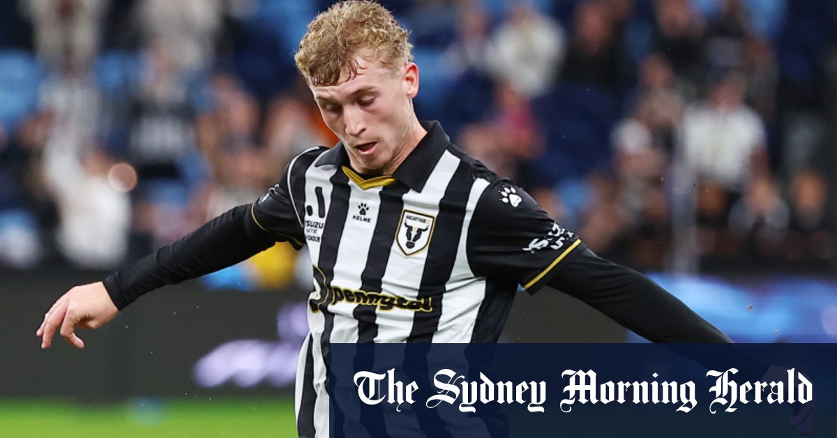 Soccer 2024: Macarthur players Matthew Millar and Jed Drew caught up in ...