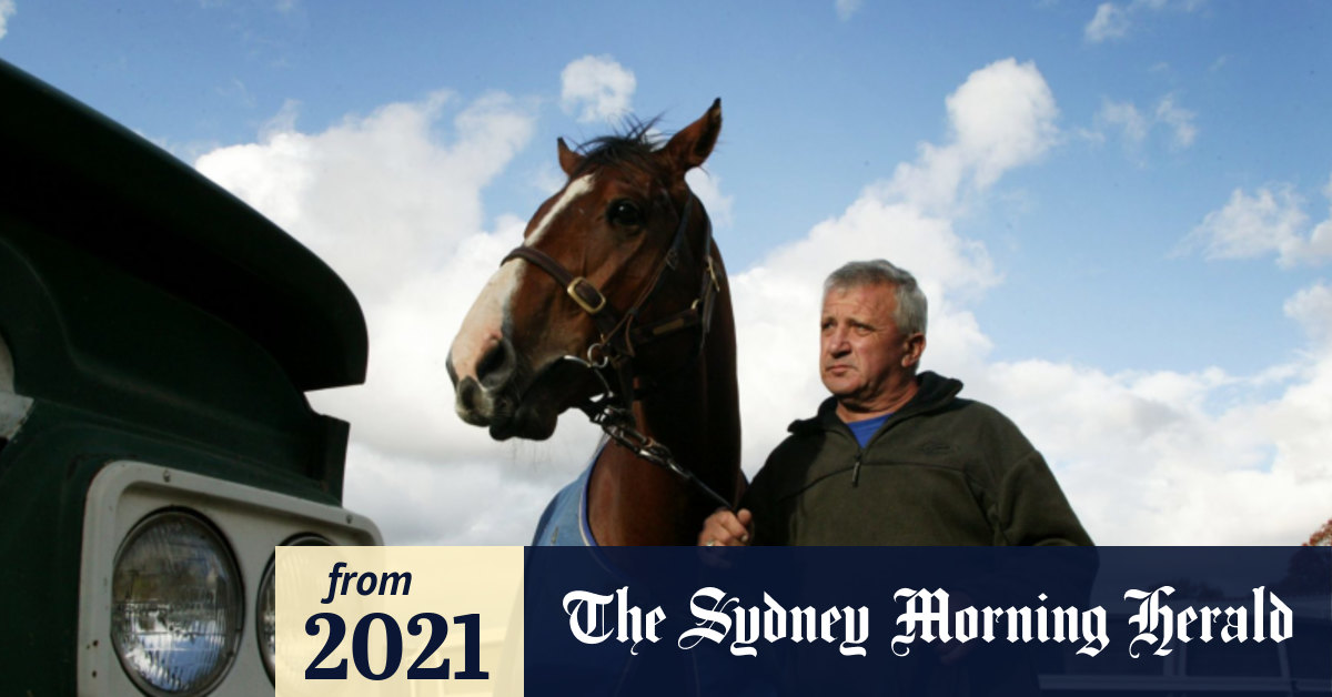 Horse racing 2021: Paul Smith stable seeking wins at Grafton races