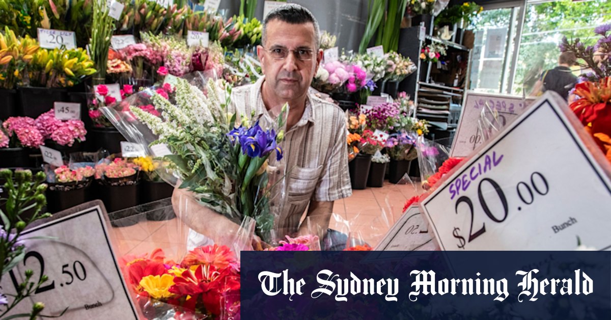 Election 2025: Bradfield electorate one of Sydney’s most affluent and ...