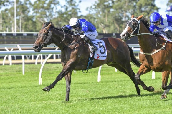 Howlett goes bush in search of a confidence boost for Two Big Fari