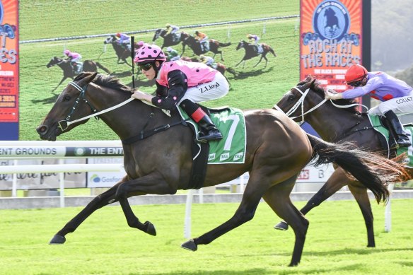 Wyong races Wednesday: Flying Rani and Matthew Smith eye back-to-back wins