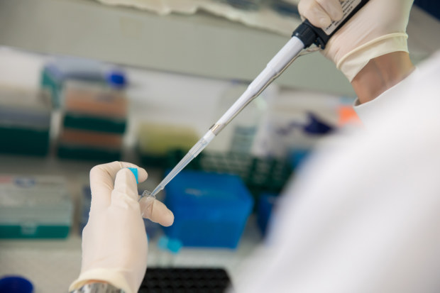 Australian Clinical Labs data breach led to leak of sexual health and ...