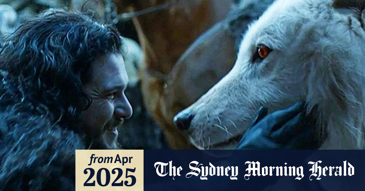 Extinct dire wolf DNA used to create genetically engineered pups