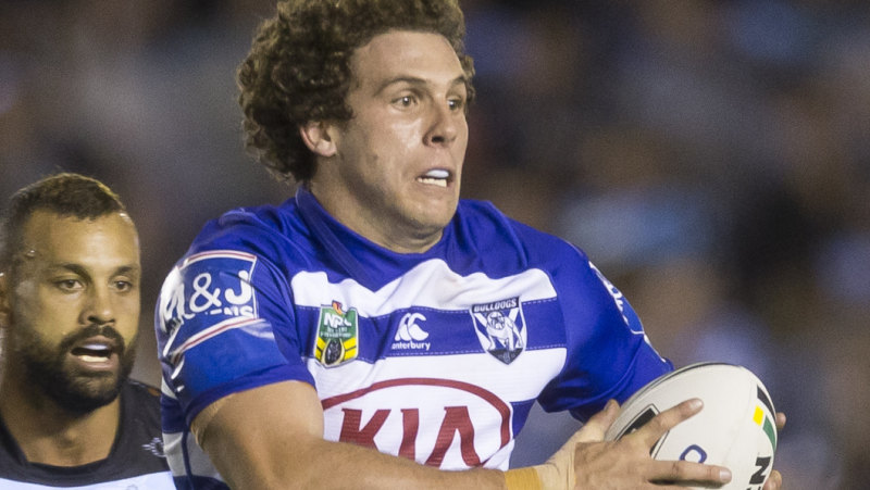 Adam Elliott turns down money for love of Dogs