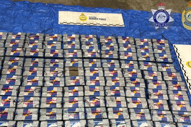 Port Botany drugs seizure: Cocaine worth $36m allegedly hidden in berry ...