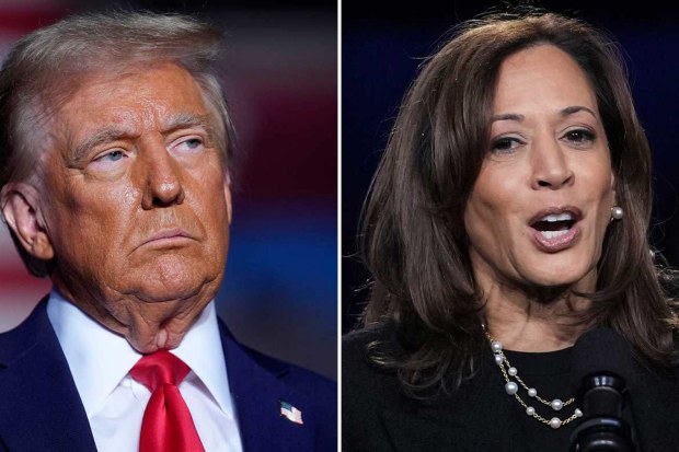 US election 2024: Donald Trump, Kamala Harris in a frantic final rush ...
