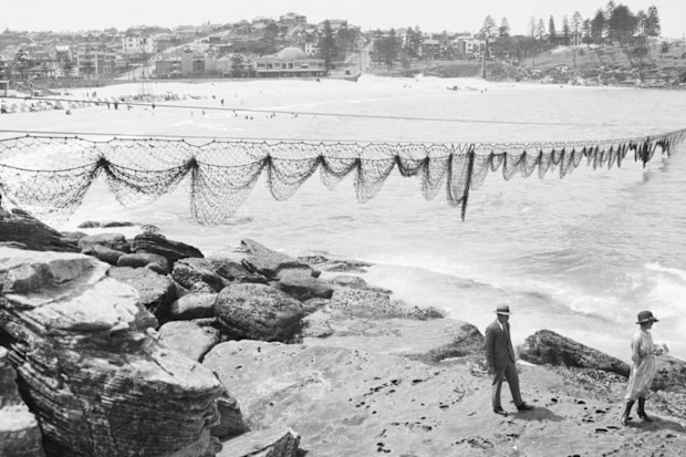Coogee shark attack: The grim summer a hundred years ago that gave ...