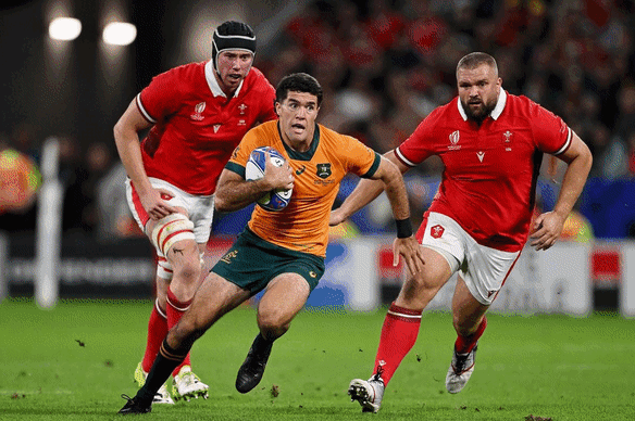 Rugby World Cup 2023: Wallabies undone by five moments of madness