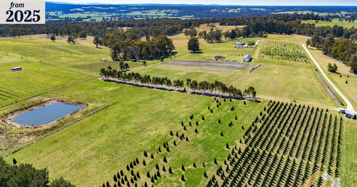 You could live on a Christmas tree farm for $2.3 million