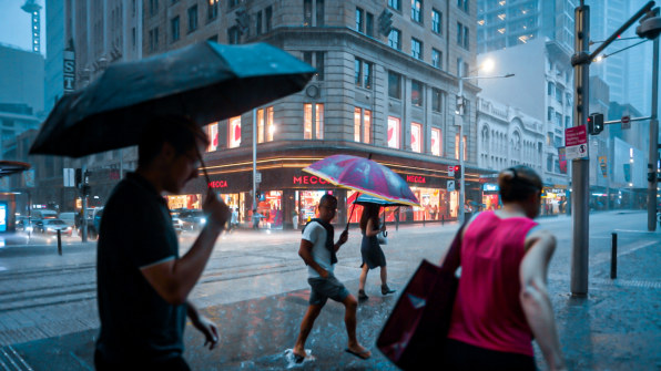 lightning strike tree sydney