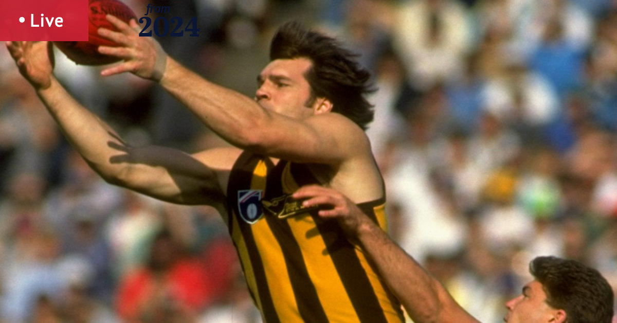 AFL Hall of Fame 2024: Hawthorn Hawks’ great Jason Dunstall officially ...