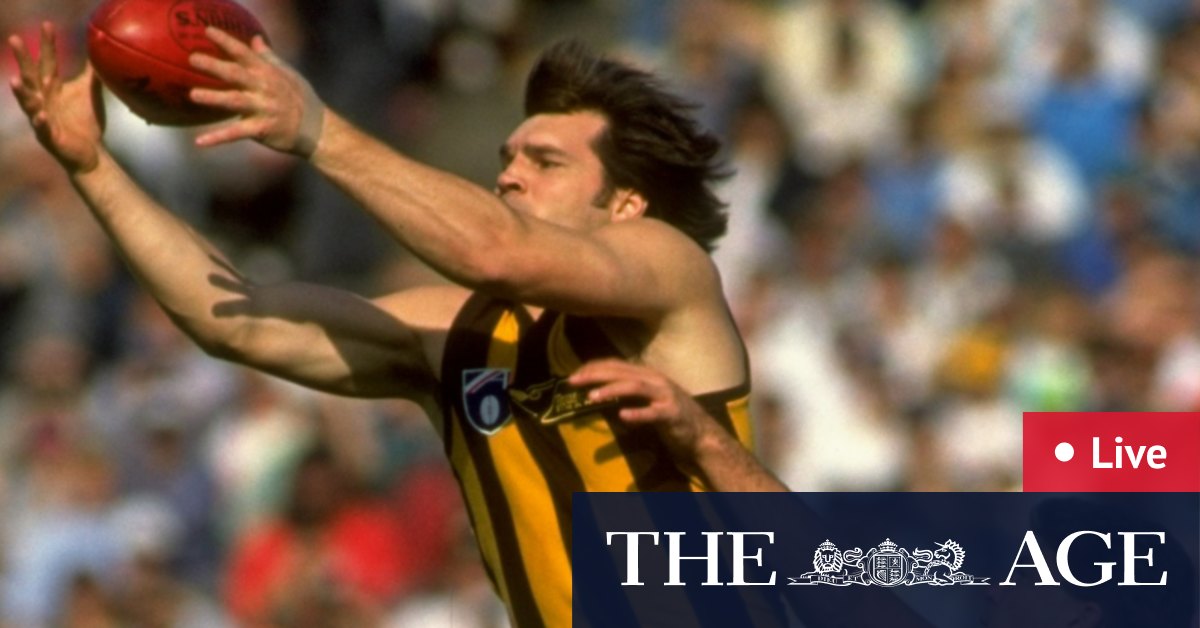 AFL Hall of Fame 2024: Hawthorn Hawks’ great Jason Dunstall officially ...