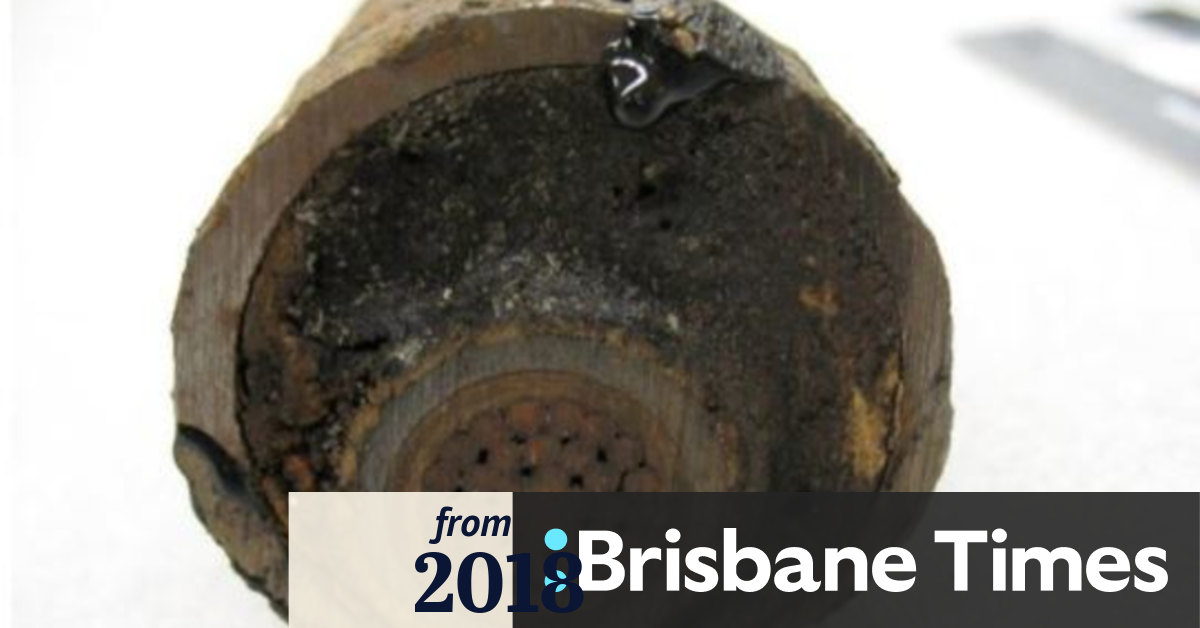 Queensland Premier offers US a piece of Brisbane history