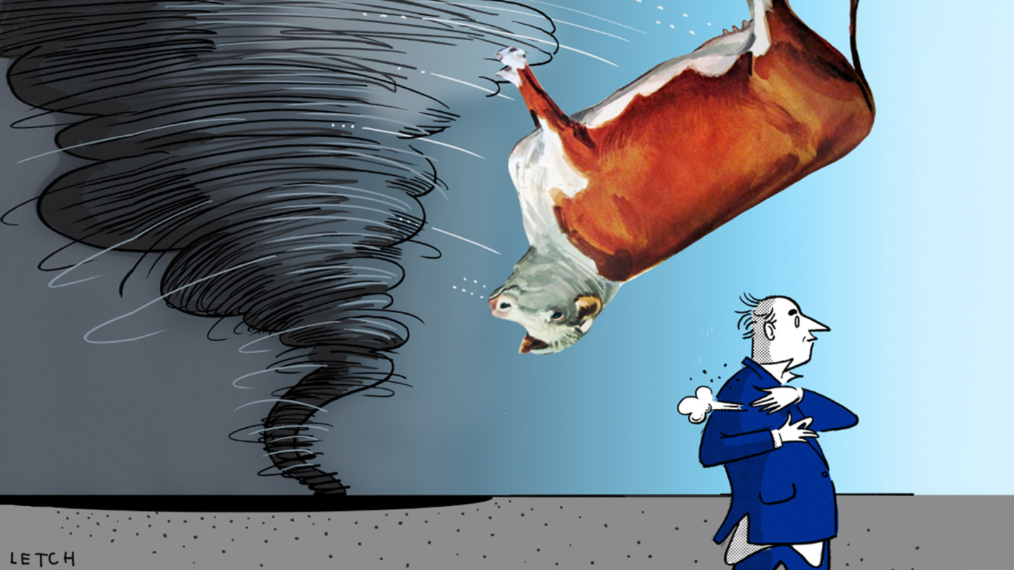 Path through the storm for investors