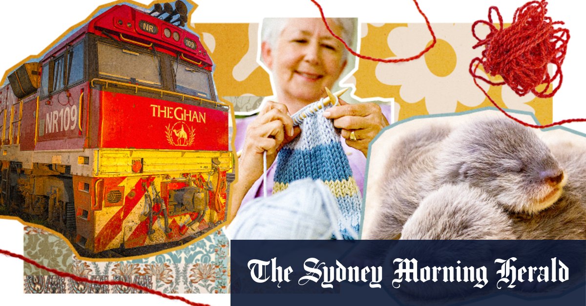 Netflix Baby Animal Cam: Slow TV shows gorillas, trains, knitting and ...