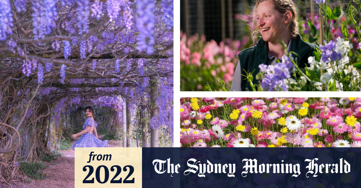 The Royal Botanic Garden Sydney: Spring puts on a blooming show