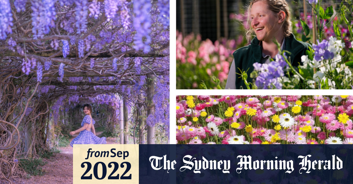 The Royal Botanic Garden Sydney: Spring puts on a blooming show