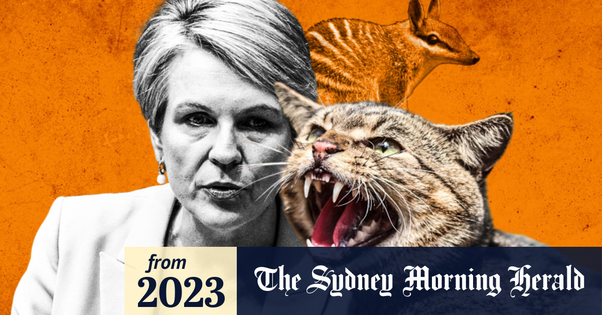 Cat curfew to save native species: Minister’s plan