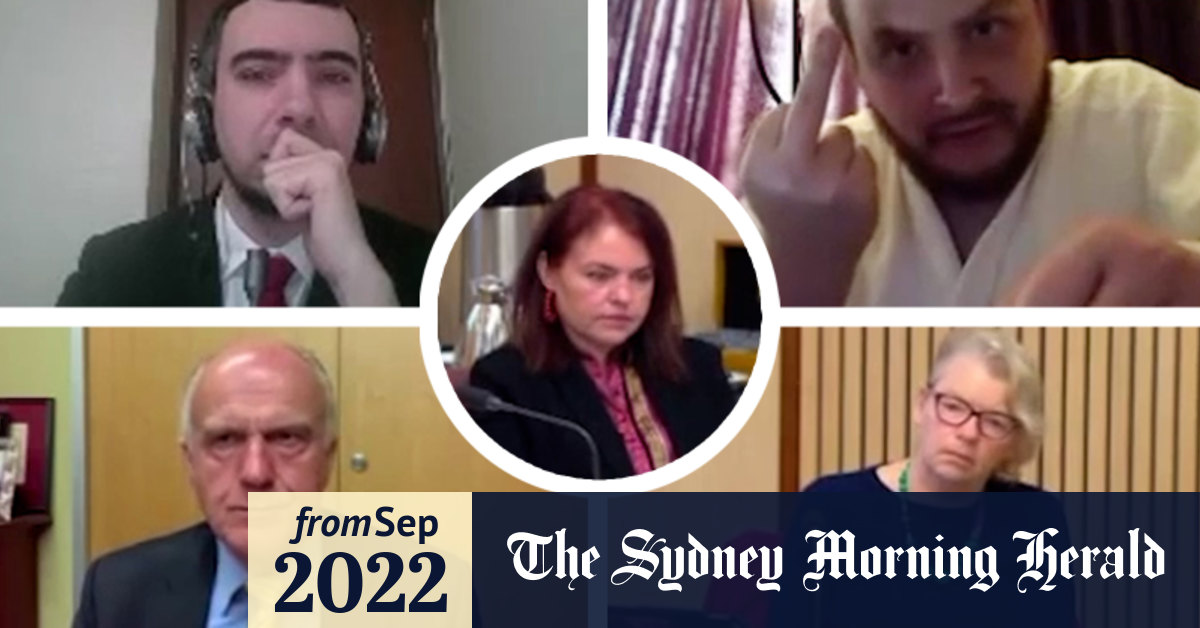 Pro-Vladimir Putin Russian comedy duo Vovan and Lexus troll Australian ...