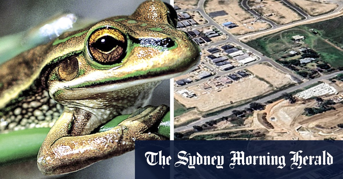 Blacktown Council to pay $1.2m for frog habitat land; company wanted $7m