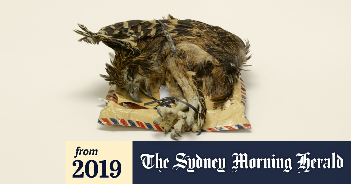 Smuggled goods reveal much about our world