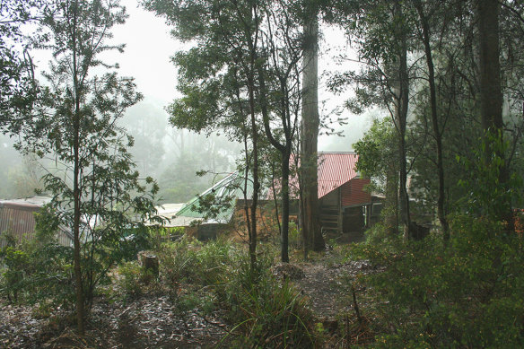 In the heart of the forest, one woman built a house of slime – Robert