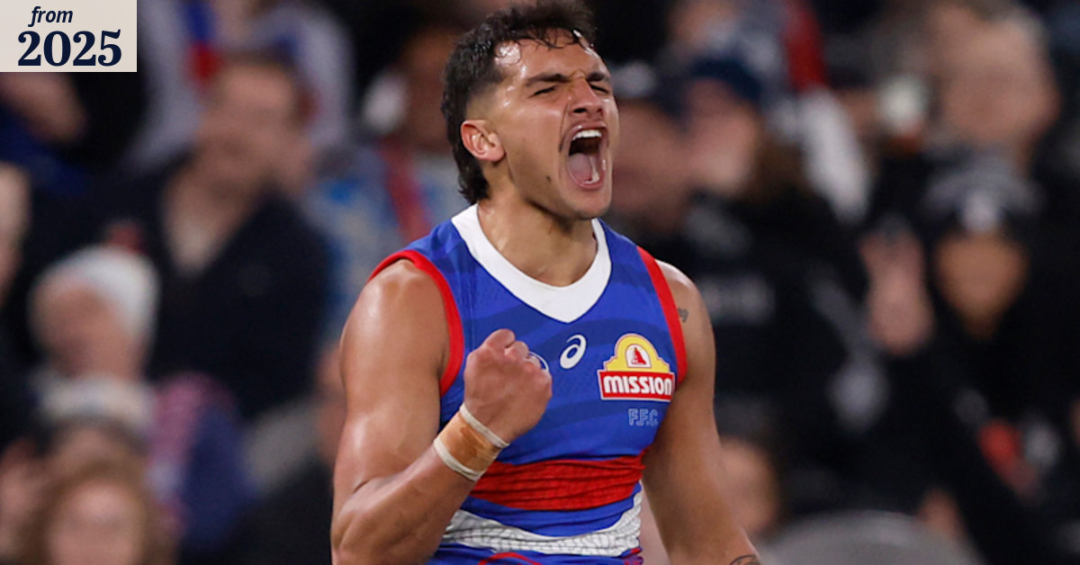 AFL 2025: Richmond Tigers defender Noah Balta pleads guilty to assault