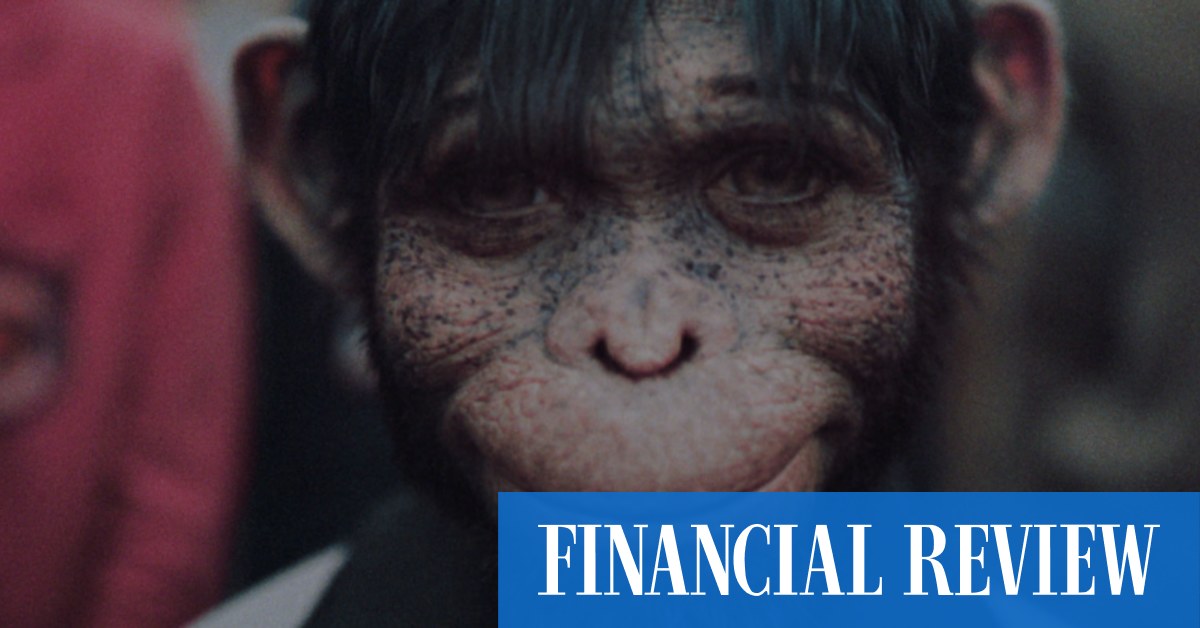 Australian film industry: Aussie filmmakers want more funding for bold movies like Michael ...